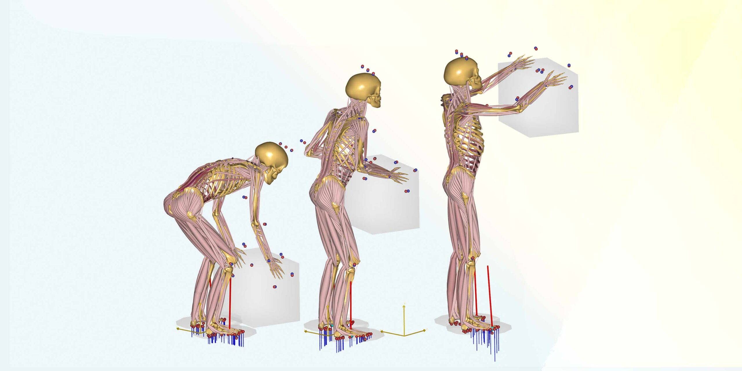 Latest Research and Data ensure improved Workplace Ergonomics